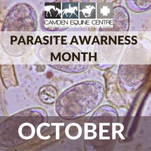 Parasite Awareness Month - Camden Equine Centre