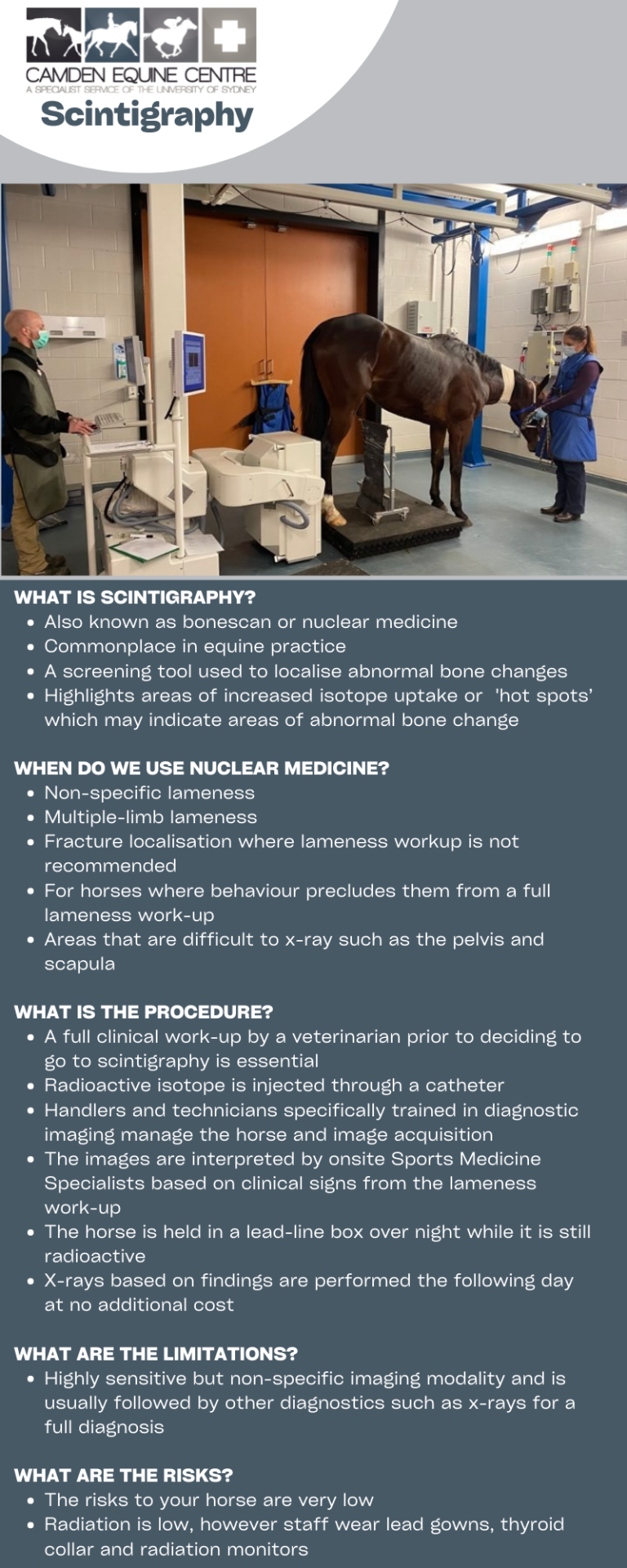 Scintigraphy - Camden Equine Centre